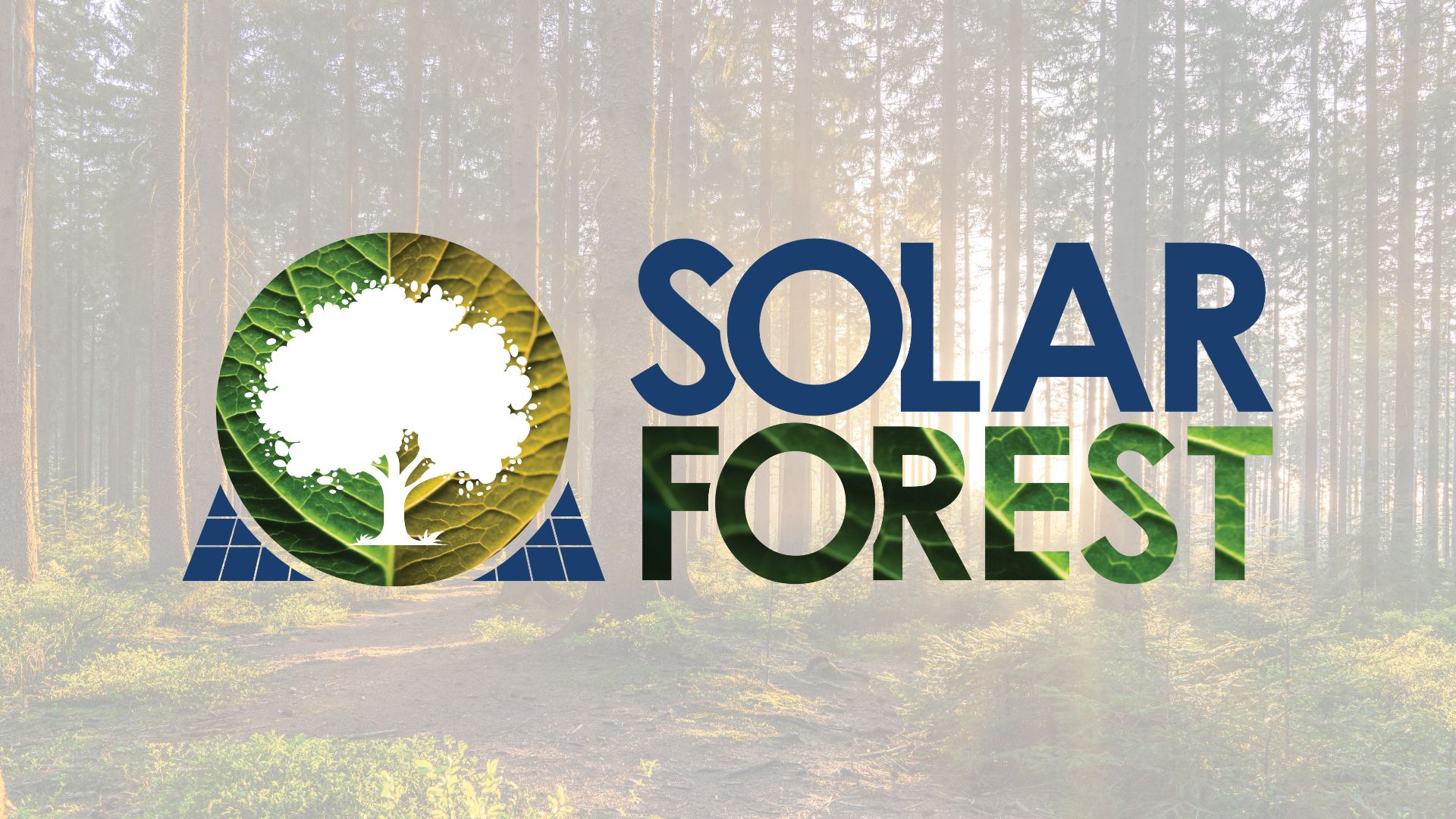 Solar Forest - Energie naturelle, design durable